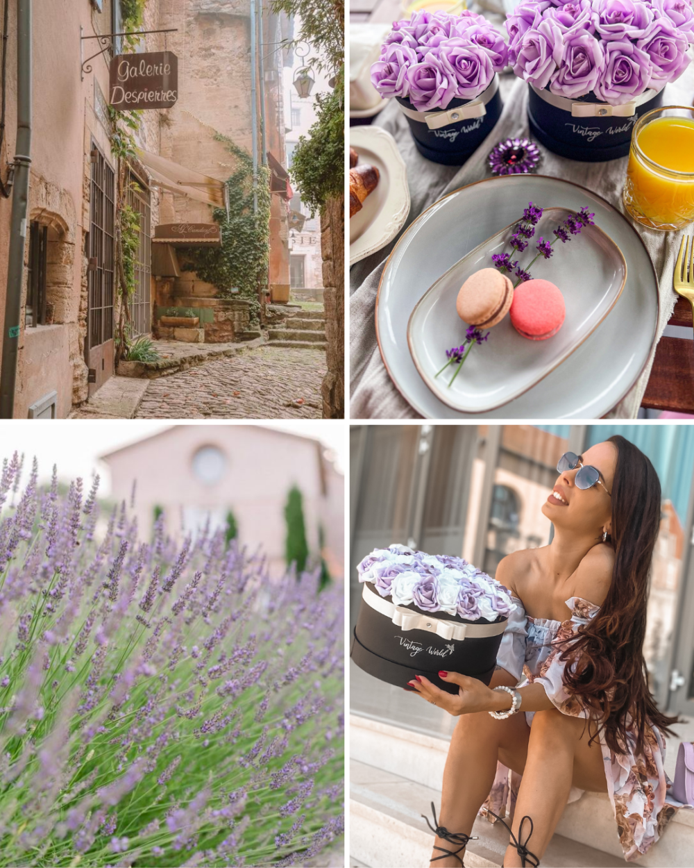 Vintage World Roses & Provance - Vintage World - Roseboxes, Flowerboxes