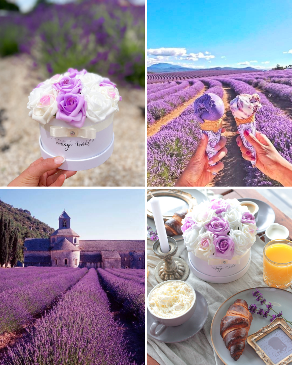 Vintage World Roses & Provance - Vintage World - Roseboxes, Flowerboxes